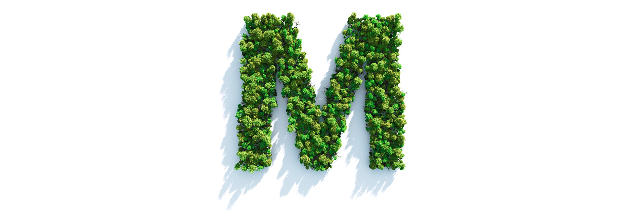 The ‘M’ Word - BrandSource