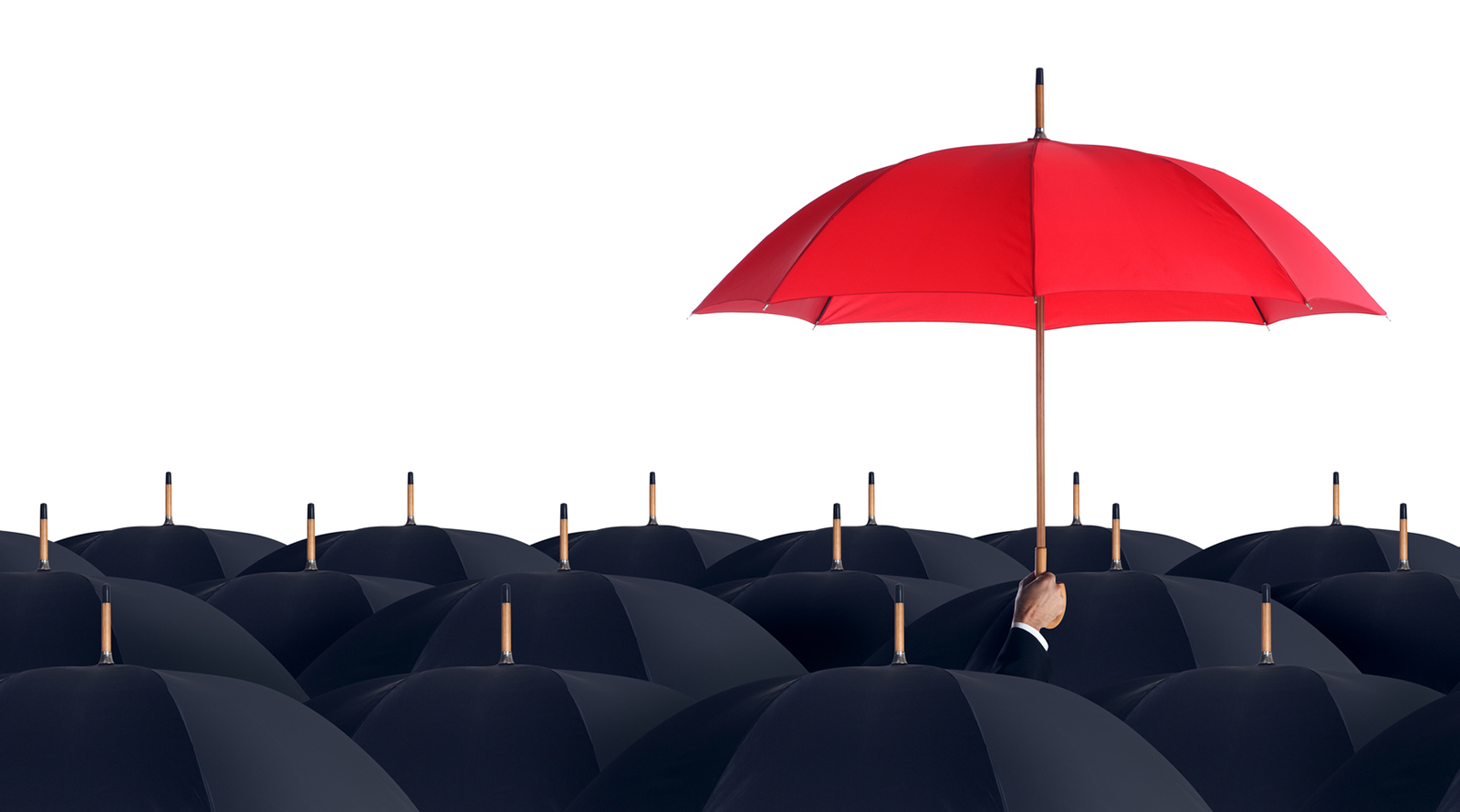 Do More Earn More With Extended Warranties Brandsource